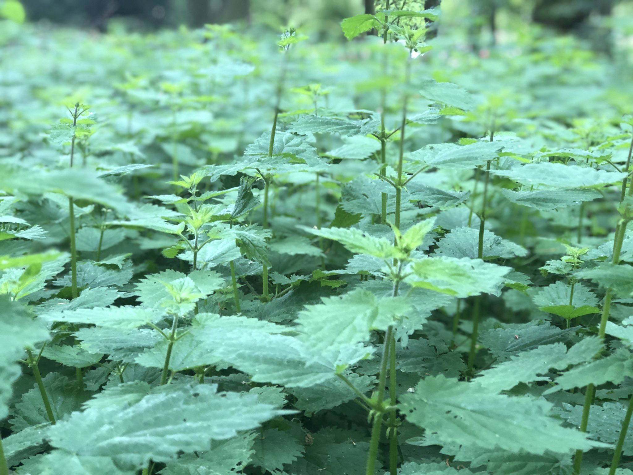 How do I choose a mediator? - Pro Mediate Website