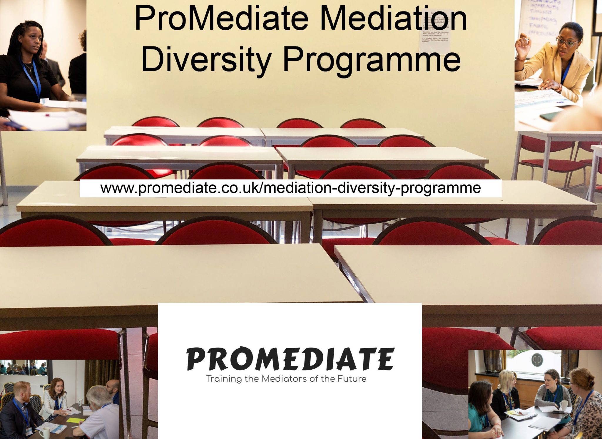 Mediation Diversity Programme - Pro Mediate Website